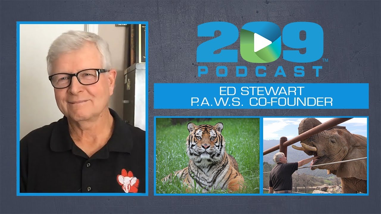 PAWS Co-Founder Ed Stewart | 209 Podcast - YouTube