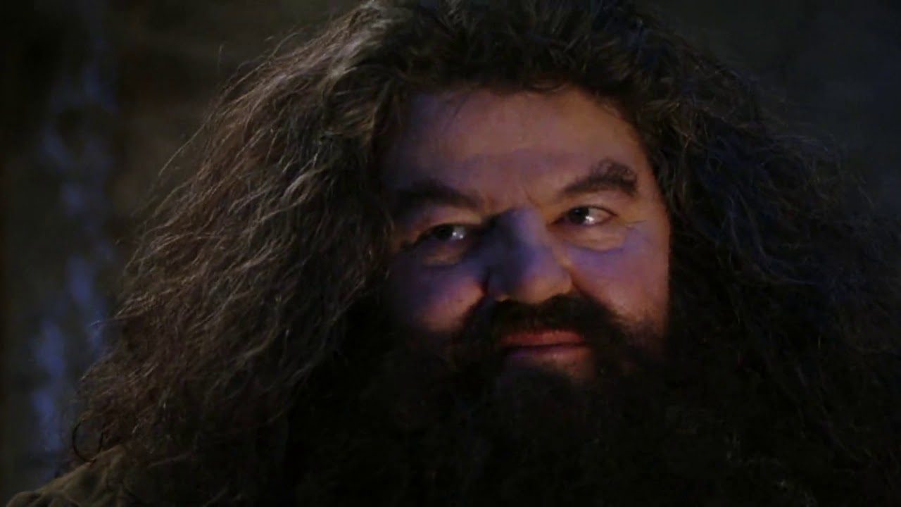 "You're a wizard Harry" Scene - Harry Potter and the Sorcerer's Stone ...