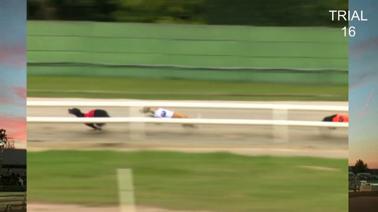 Monmore Green Stadium Greyhound Trials Live Stream 28/09/20 - YouTube