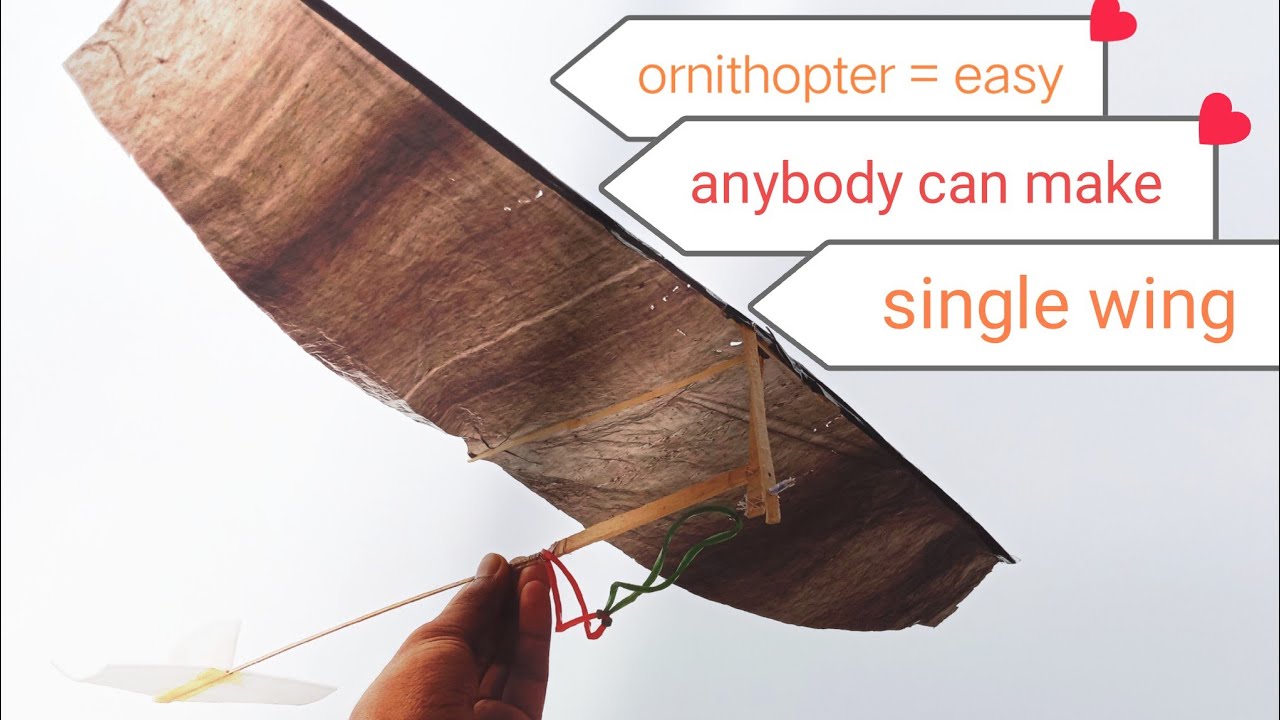 Ornithopter rubber band powered single wing - YouTube