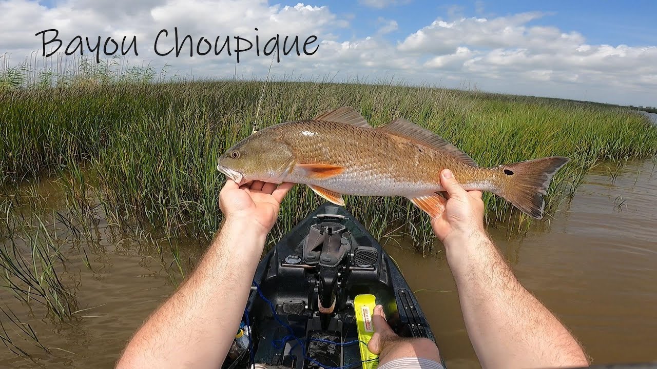 Hunting Red Fish in the Marsh - YouTube