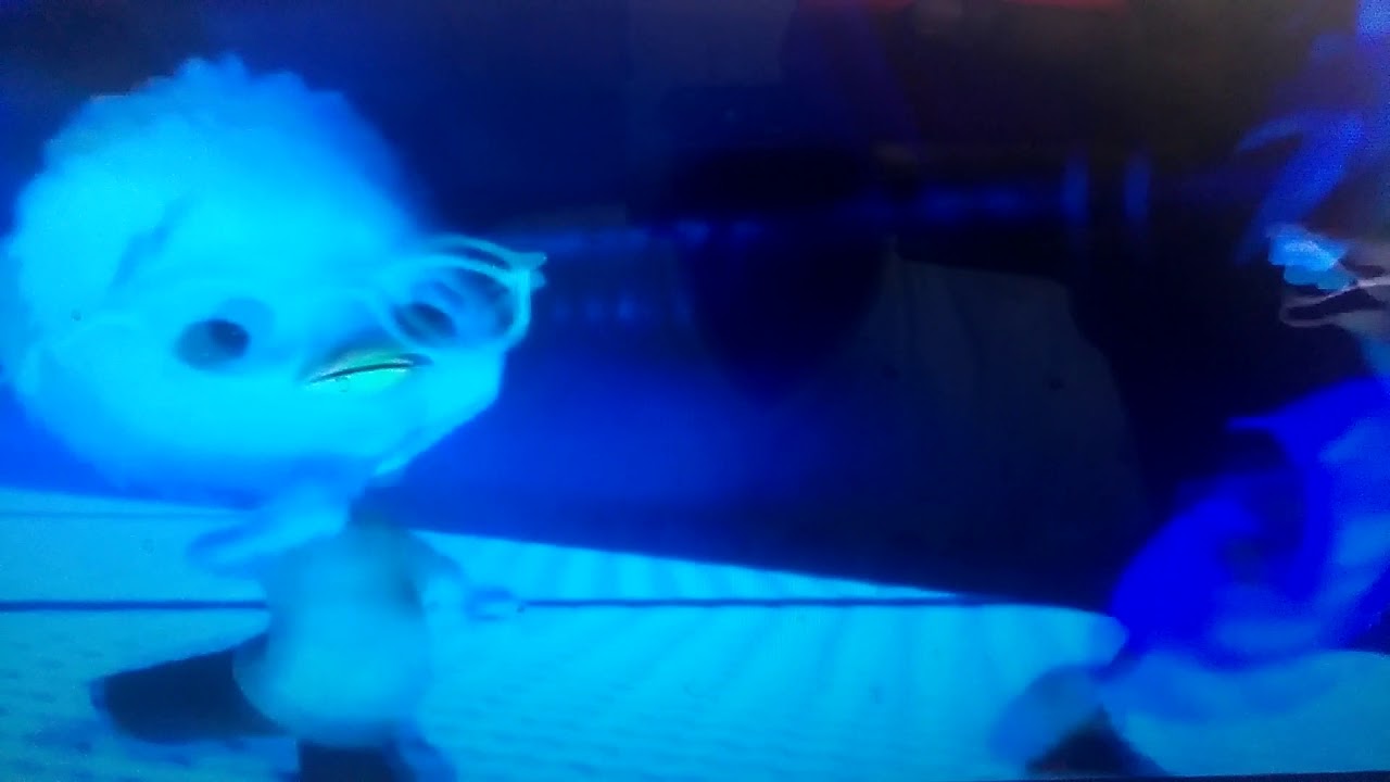 Chicken Little Run! - YouTube