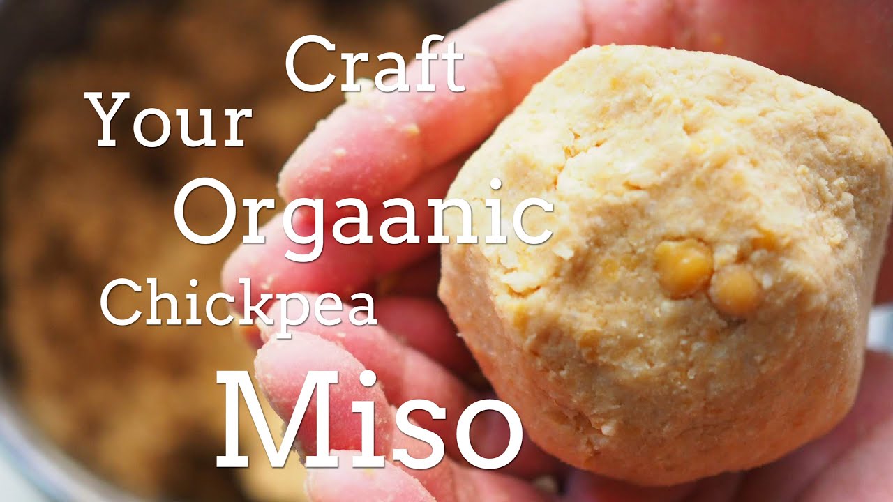 CRAFT YOUR ORGANIC CHICKPEA MISO - YouTube