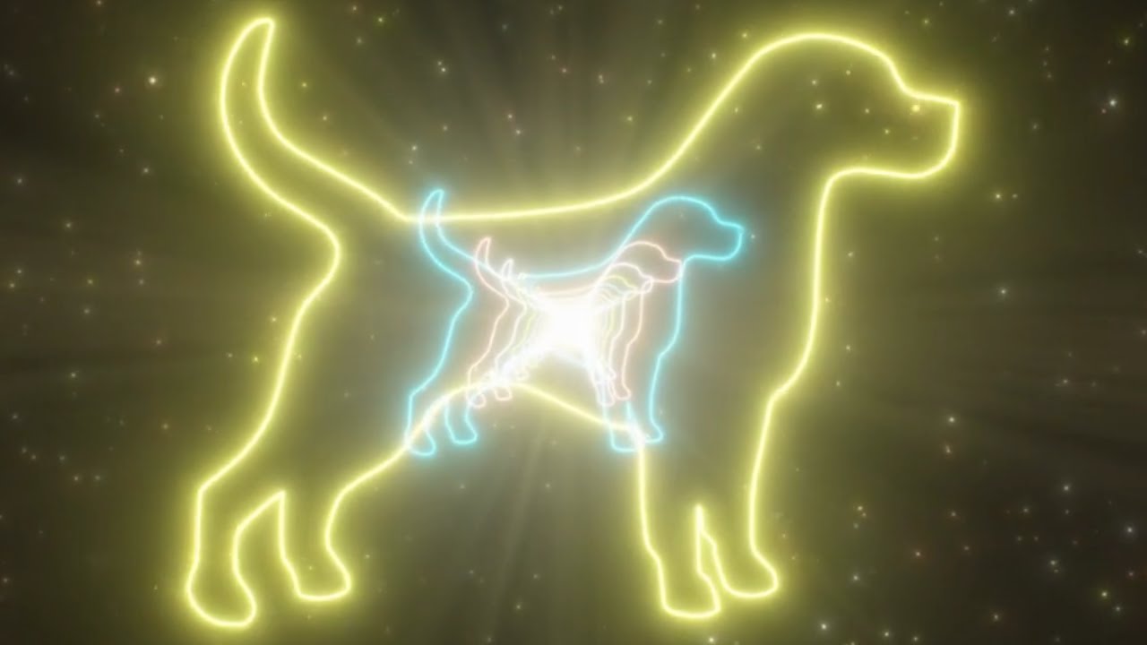 NEON DOG PUPPY LOOP 3D LOOP 4K BACKGROUND - YouTube