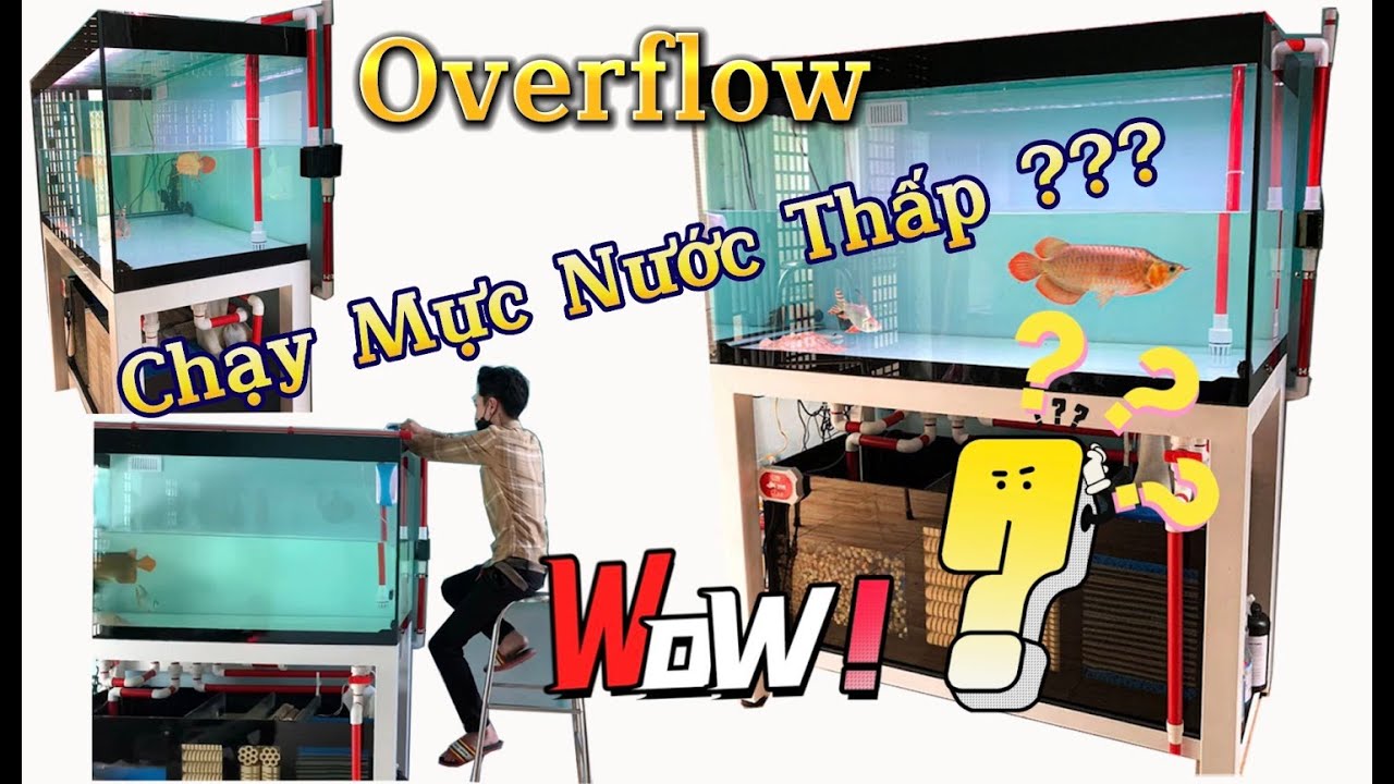 Lắp Đặt Hệ Thống / Overflow / Sử Dụng Mực Nước Thấp / Hồ Công Nghệ Mới ...
