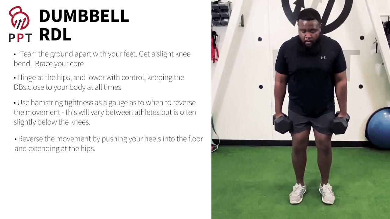 Dumbbell RDL - YouTube