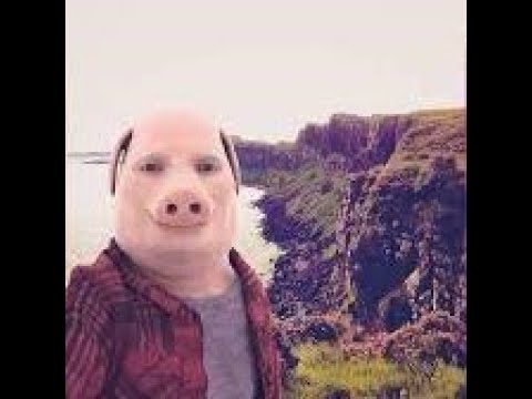 John Pork Coin LIVE - YouTube