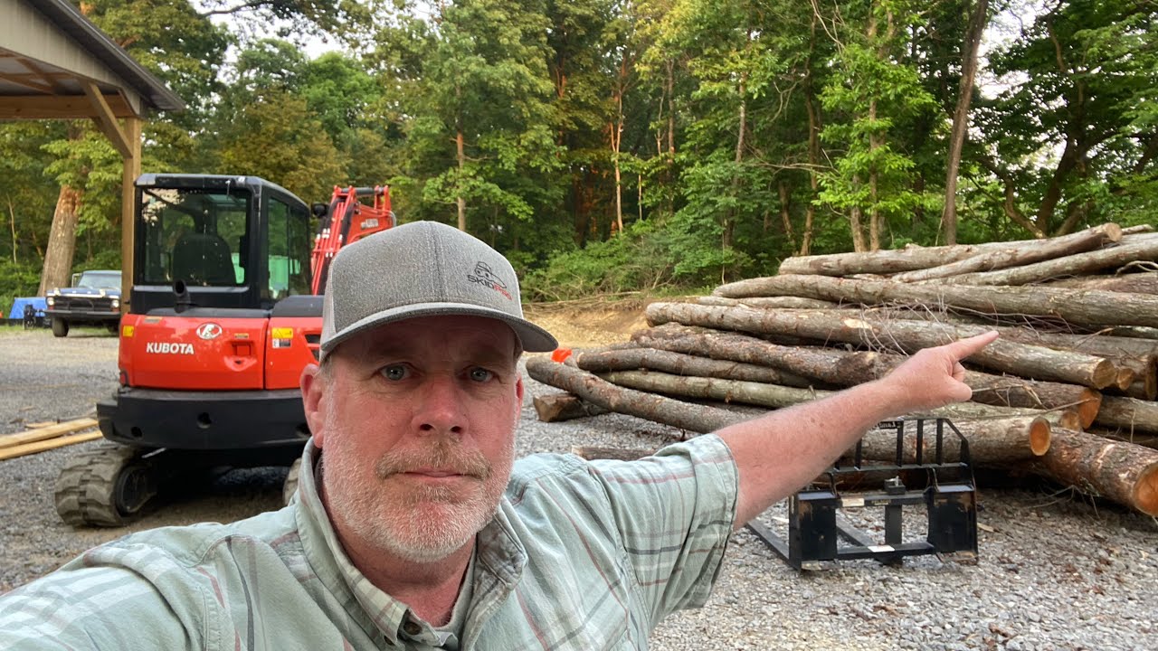 Discovered Much More than Just Firewood in this Pile of Logs - YouTube