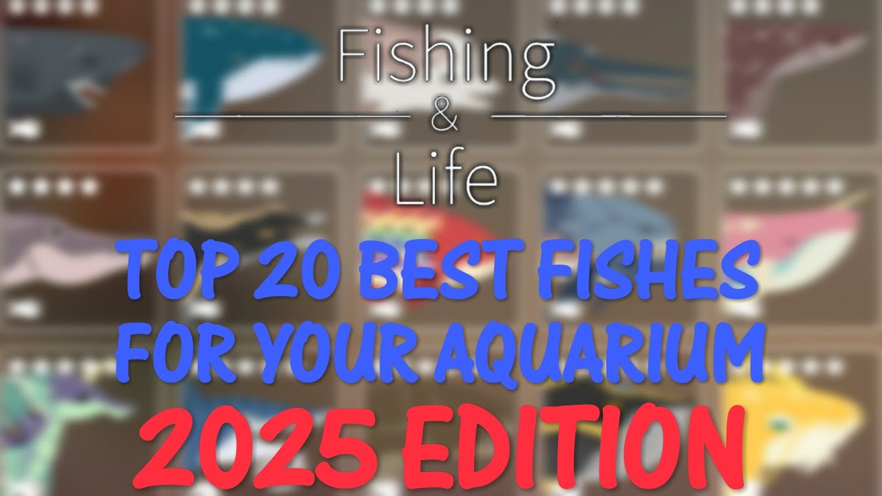 Fishing Life | Top 20 Best Aquarium Fishes for 2025 - YouTube