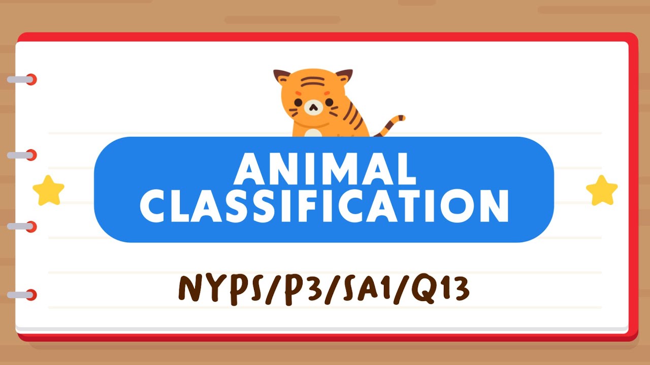 PSLE SCIENCE MADE SIMPLE EP177 | Animal Classification | Identify The ...