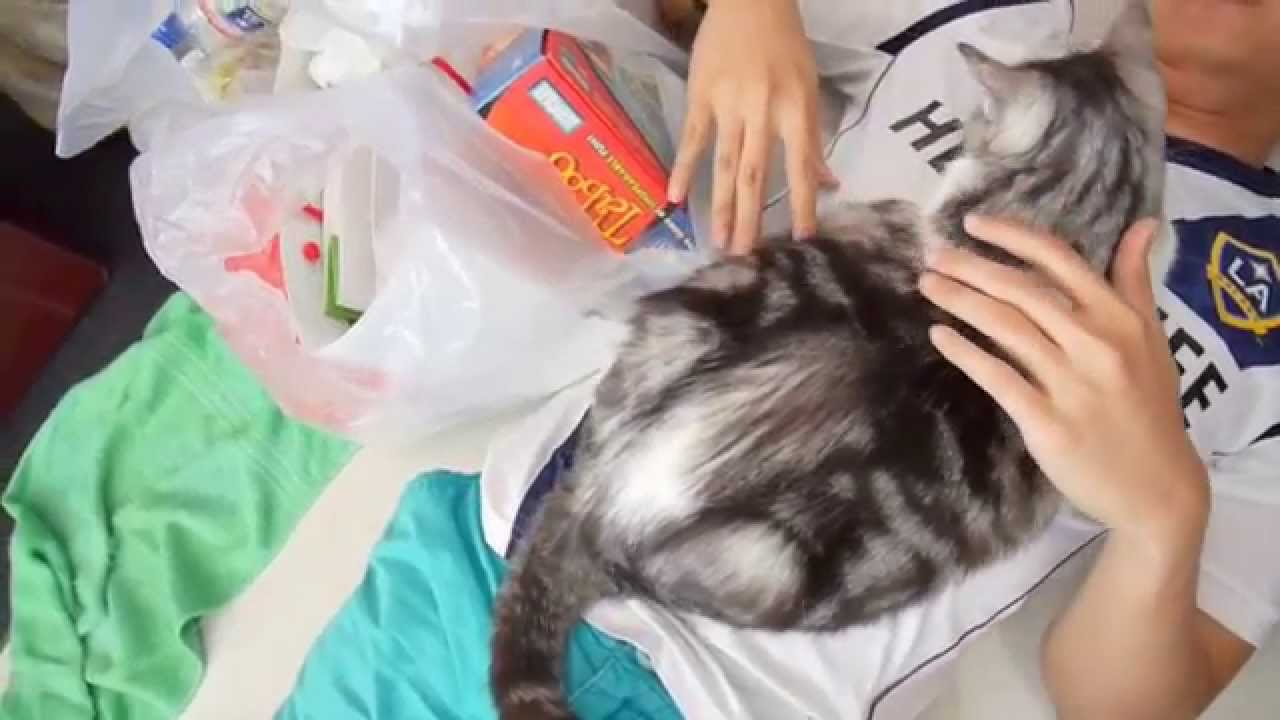 Spring Cleaning Pre-Eid - YouTube