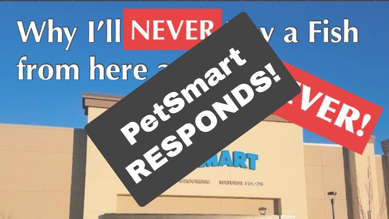 PetSmart writes Back *Here's What they Said!* - YouTube