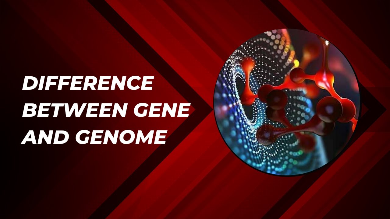 Difference Between Gene And Genome. #genome ,#genomics #genesis # ...