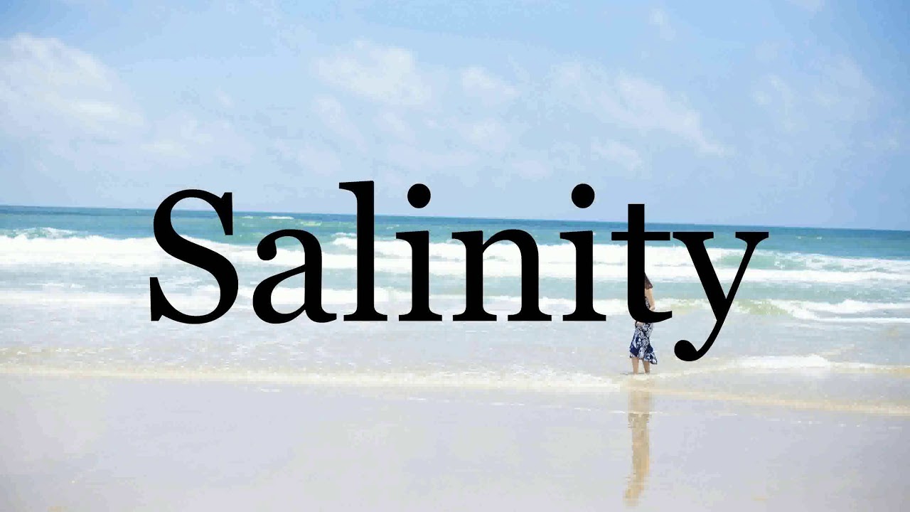 How To Pronounce Salinity🌈🌈🌈🌈🌈🌈Pronunciation Of Salinity - YouTube