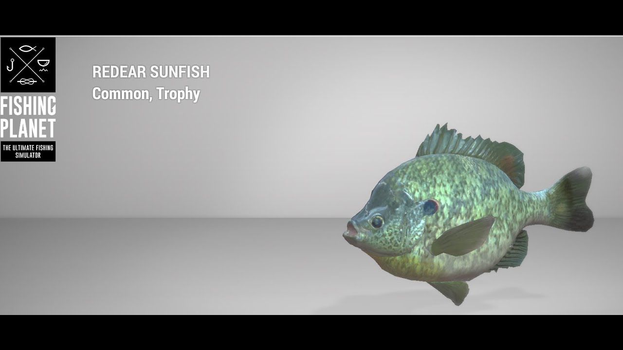 Fishing Planet - Lone Star Lake - Trophy - Redear Sunfish - Float - YouTube