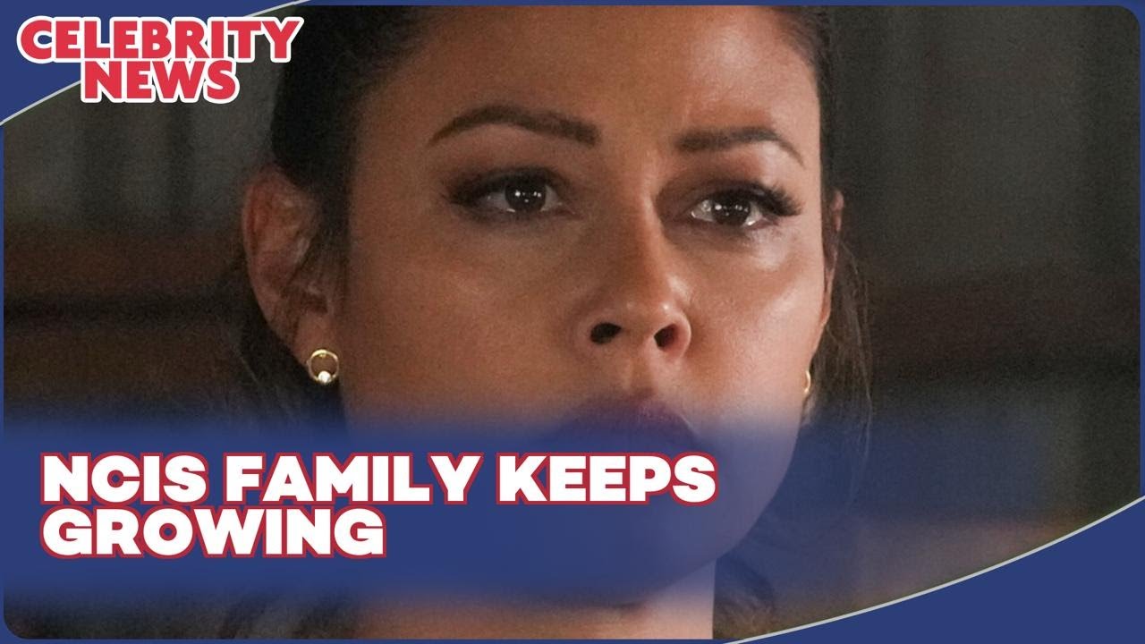 NCIS Family Keeps Growing I Celebrity News - YouTube