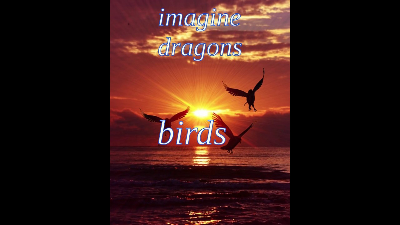 birds!! imagine dragons - YouTube