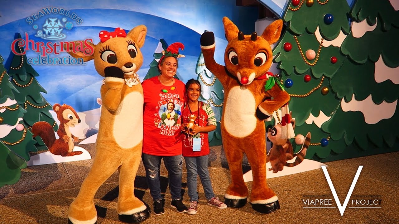 SeaWorld Christmas 2018 - YouTube