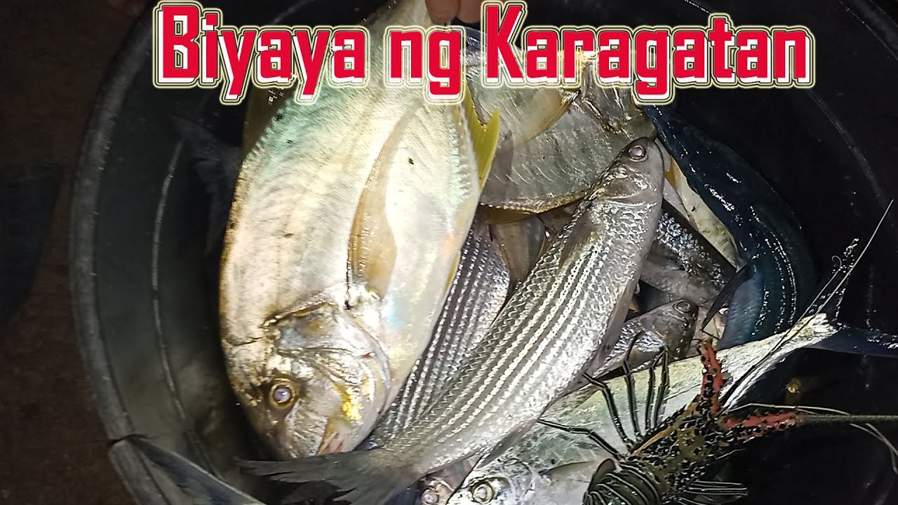 IPAKILALA NATEN ANG MGA ISDA SA TAGA MANILA (Day 1 in Palawan) - YouTube