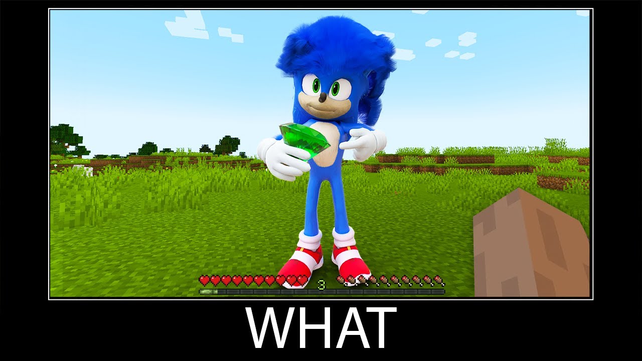 Minecraft wait what meme part 212 realistic minecraft Sonic the ...
