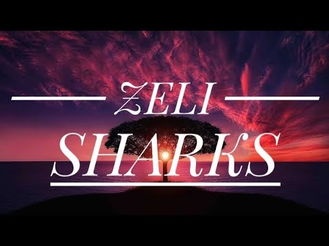 Zeli - Sharks (Lyrics) ! Ncs ! Lyrics store ! Engliah Lyrics ! - YouTube