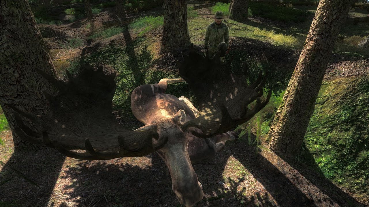 The Hunter: DD33's Best Recurve Trio in 10min Ever! - YouTube