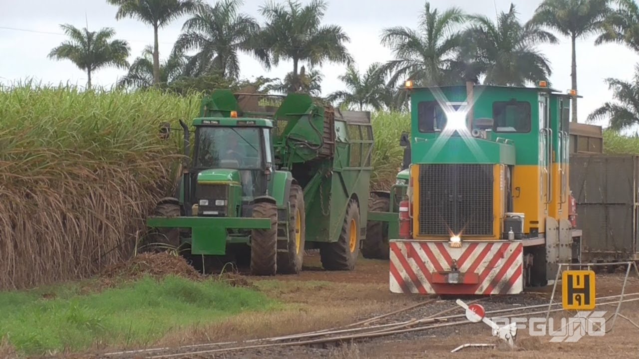 Loco And Bin Tractors [HD] - YouTube