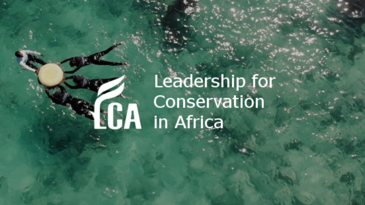 Using Ocean connection as a Vital Step in Protecting the Ocean - YouTube