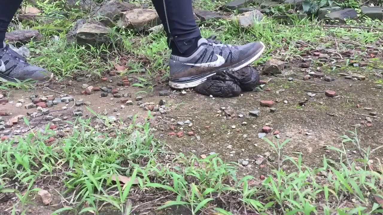Nike vs cow poop - YouTube