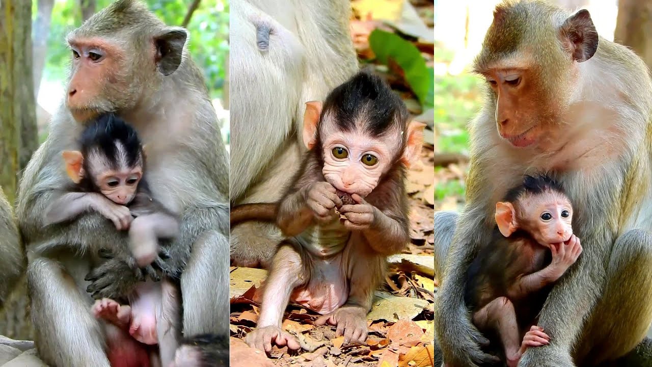 Lovely Bessie baby requests mum to get out very cleverly. - YouTube