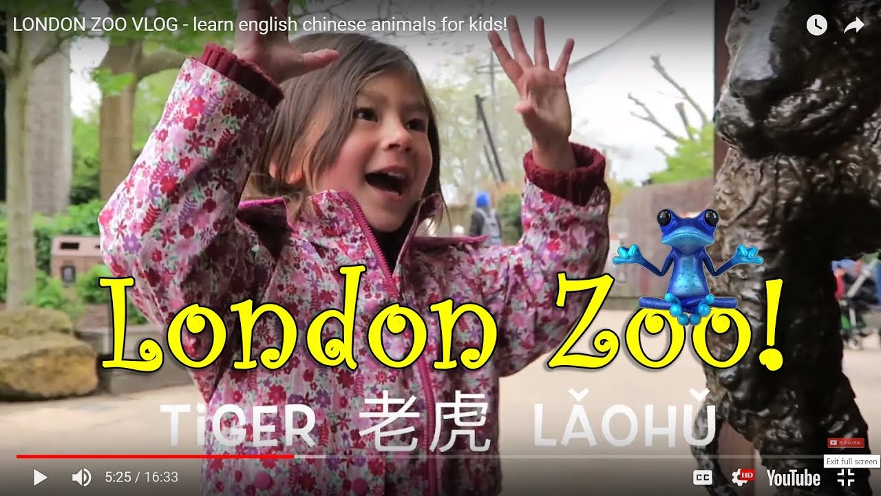 LONDON ZOO VLOG - learn English Chinese animals for kids! - YouTube