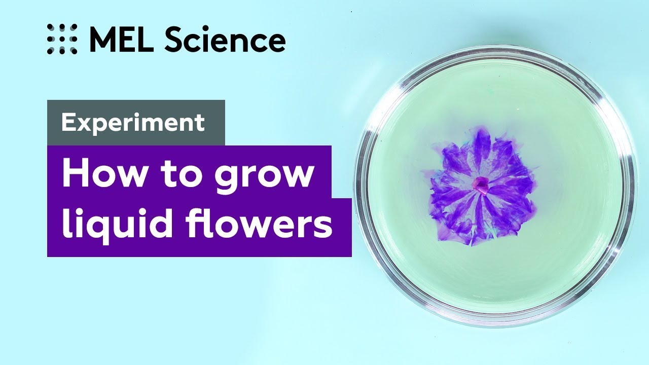 "Sodium flower" experiment (How to make liquid flowers with sodium and ...