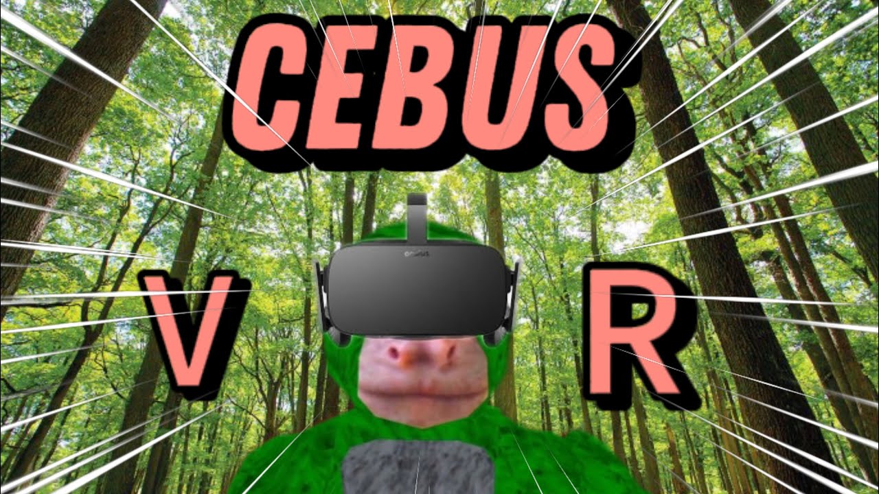 I Played CEBUS VR For the first time - YouTube