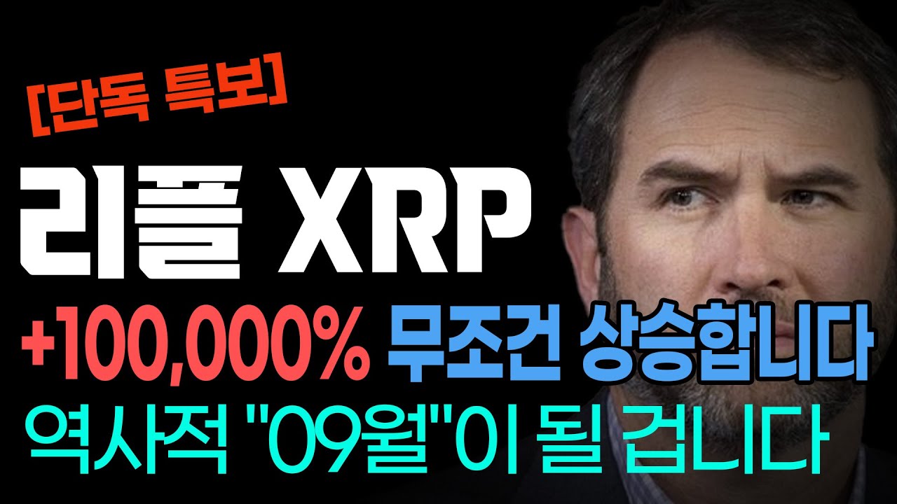 단독 특보 리플 Xrp 100000 무조건 상승한다 역사적 09월이 될 겁니다 트레이더 비타 리플 리플분석 리플전망 리플목표가 리플차트 코인시황
