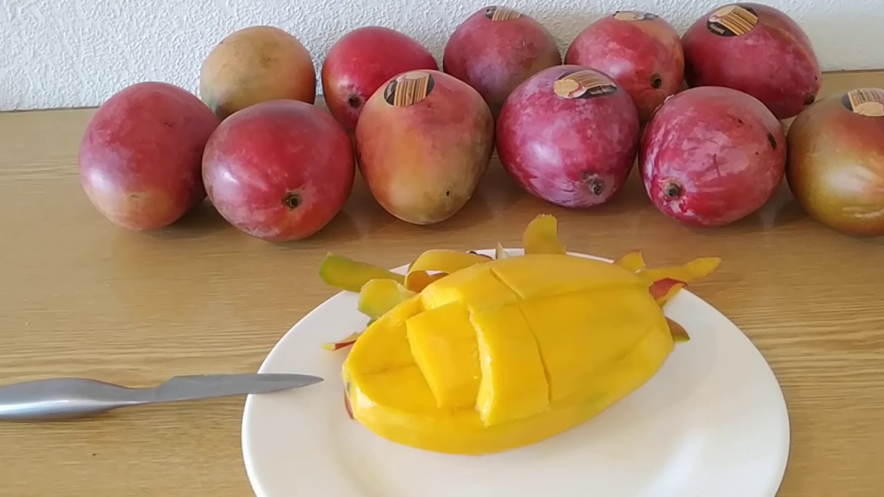 European Mango Season - Osteen Mango is the best (Mangifera indica ...
