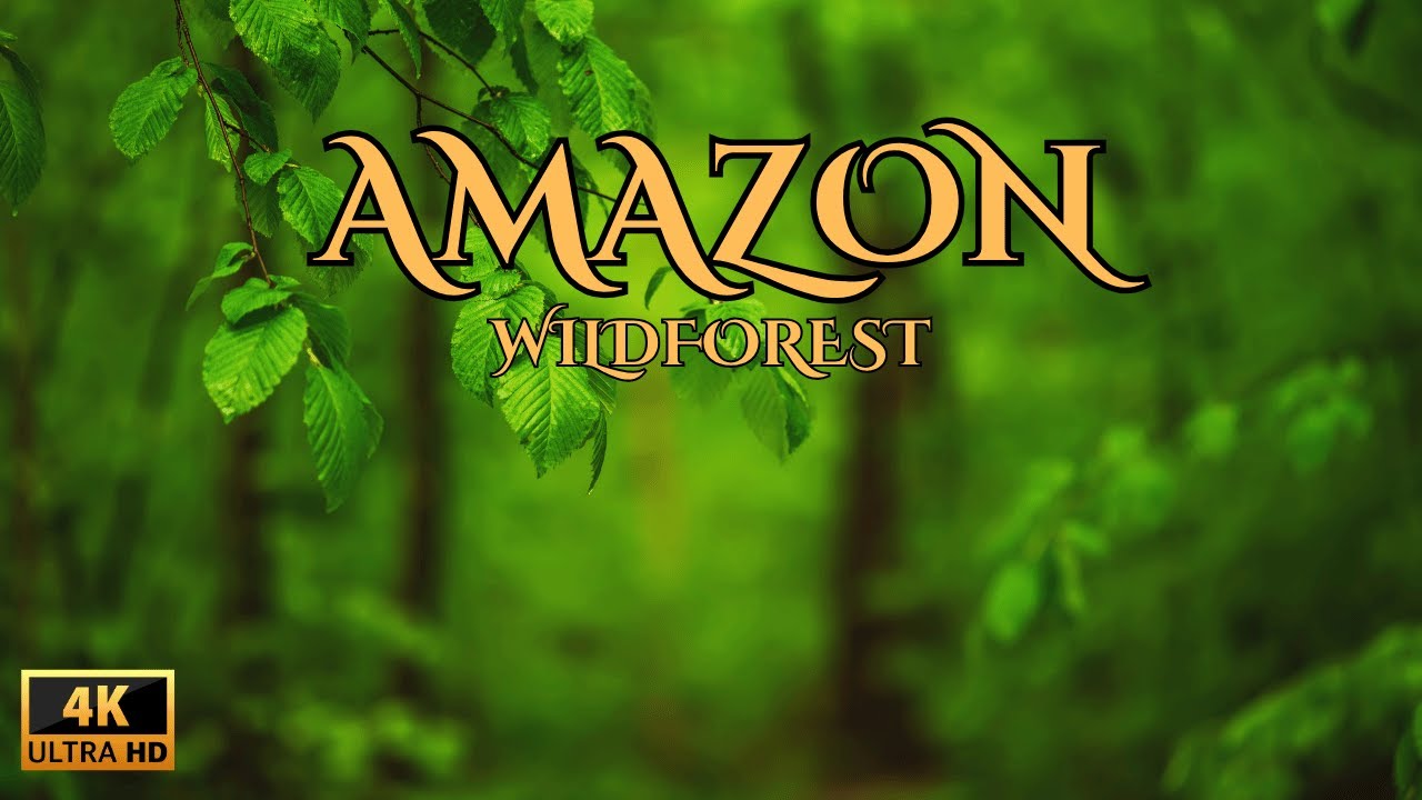 Amazon 4K - The World’s Largest Tropical Rainforest Adventure and ...