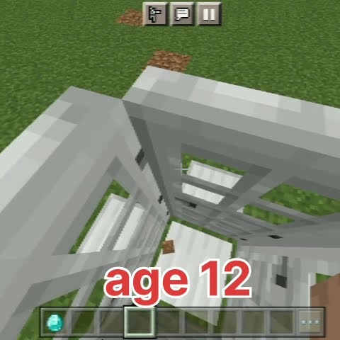 Minecraft age 5 to age 30 #viral #shortvideos 🤯 - YouTube