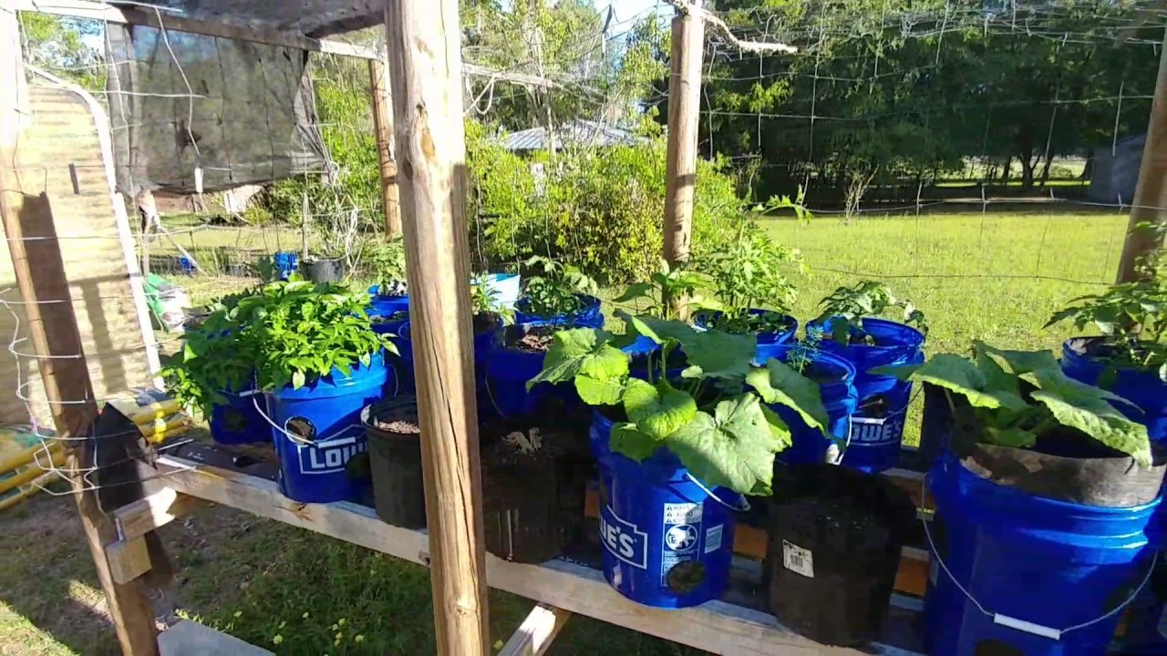 Rain Gutter Grow System and Kratky Tray System spring update - YouTube