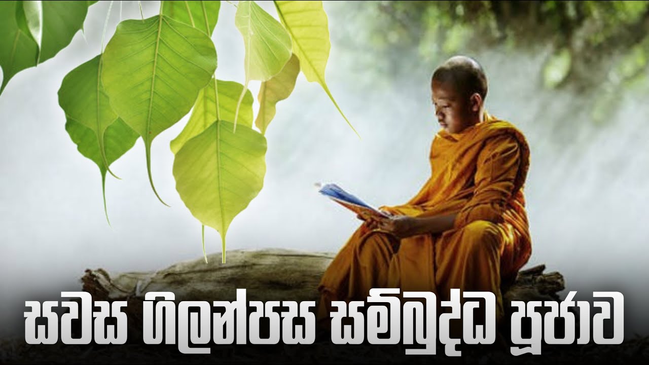 🔴 LIVE - සවස ගිලන්පස සම්බුද්ධ පූජාව සජීවීව | Maha Bo Tv - YouTube