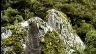 Elay pue Chords - Chordify