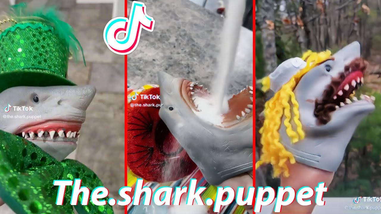 NEW | Funny Shark Puppet TikTok 2023 - Best The.Shark.Puppet TikTok ...