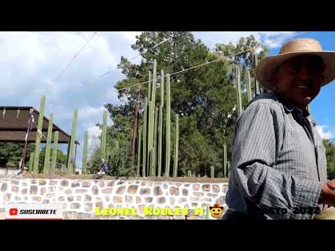 Hacienda de vivoras Tepetongo Zacatecas #677