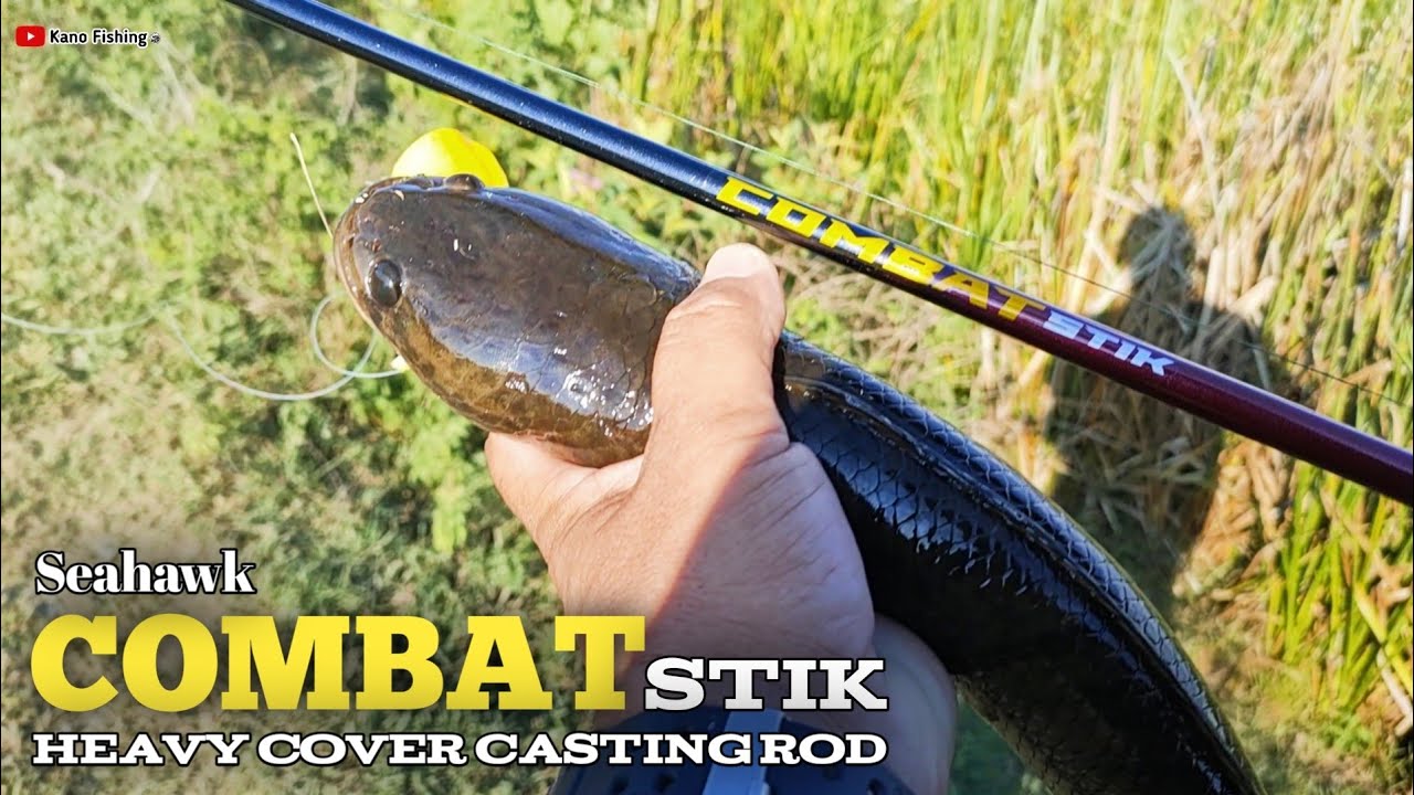Rod seahawk combat stik strike 1.4kg - YouTube