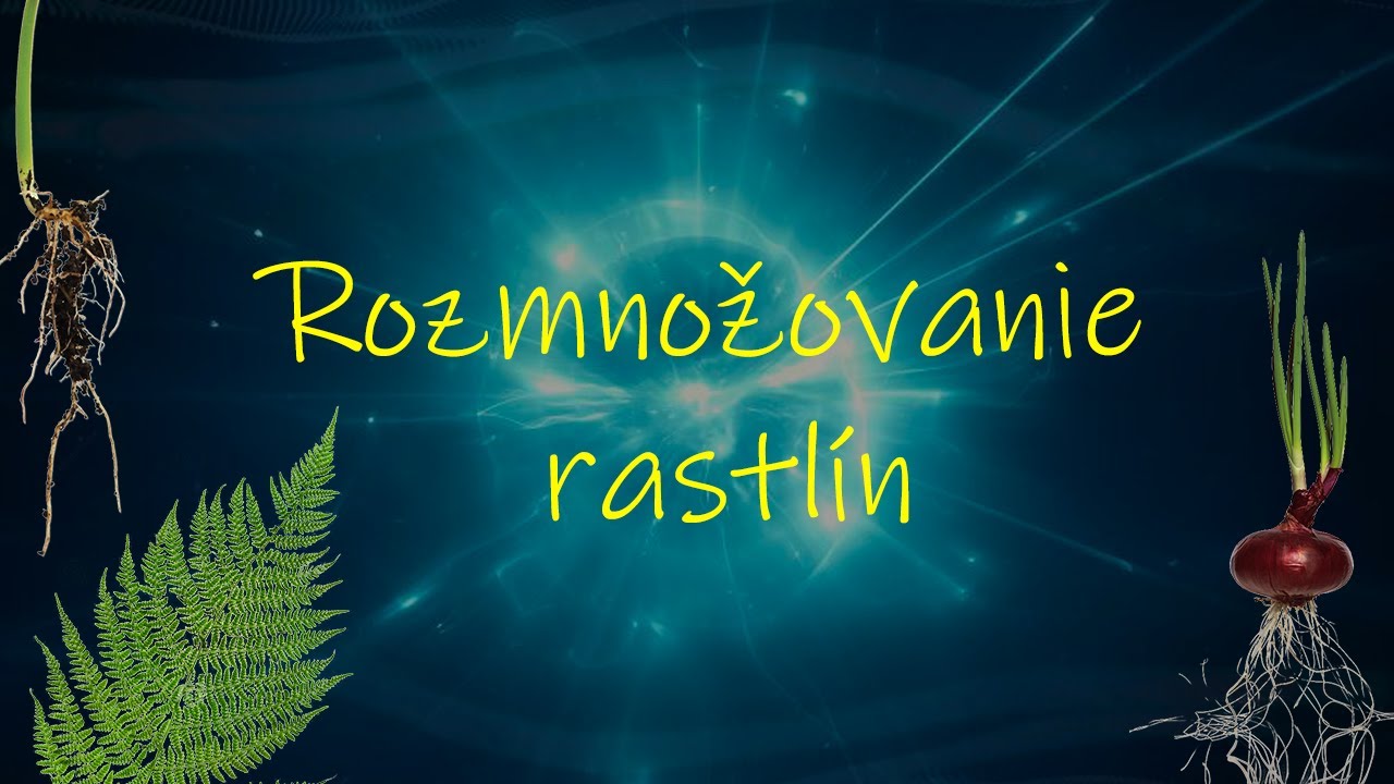 Biológia 8. ročník _ Rozmnožovanie rastlín - YouTube