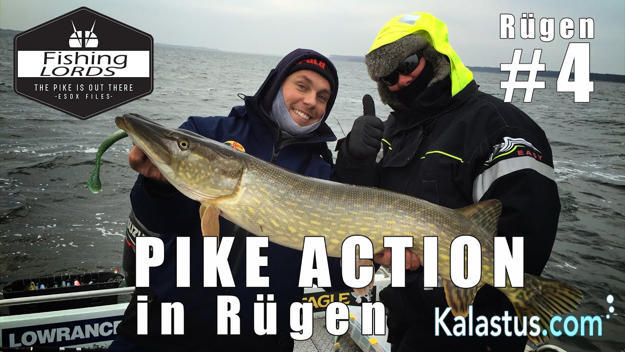 Pike action in Rügen - YouTube