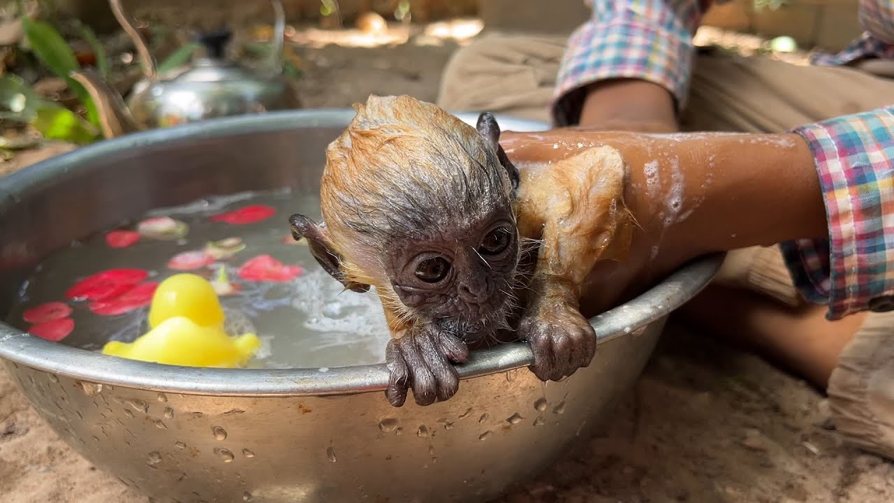 she after bath she so cute - YouTube