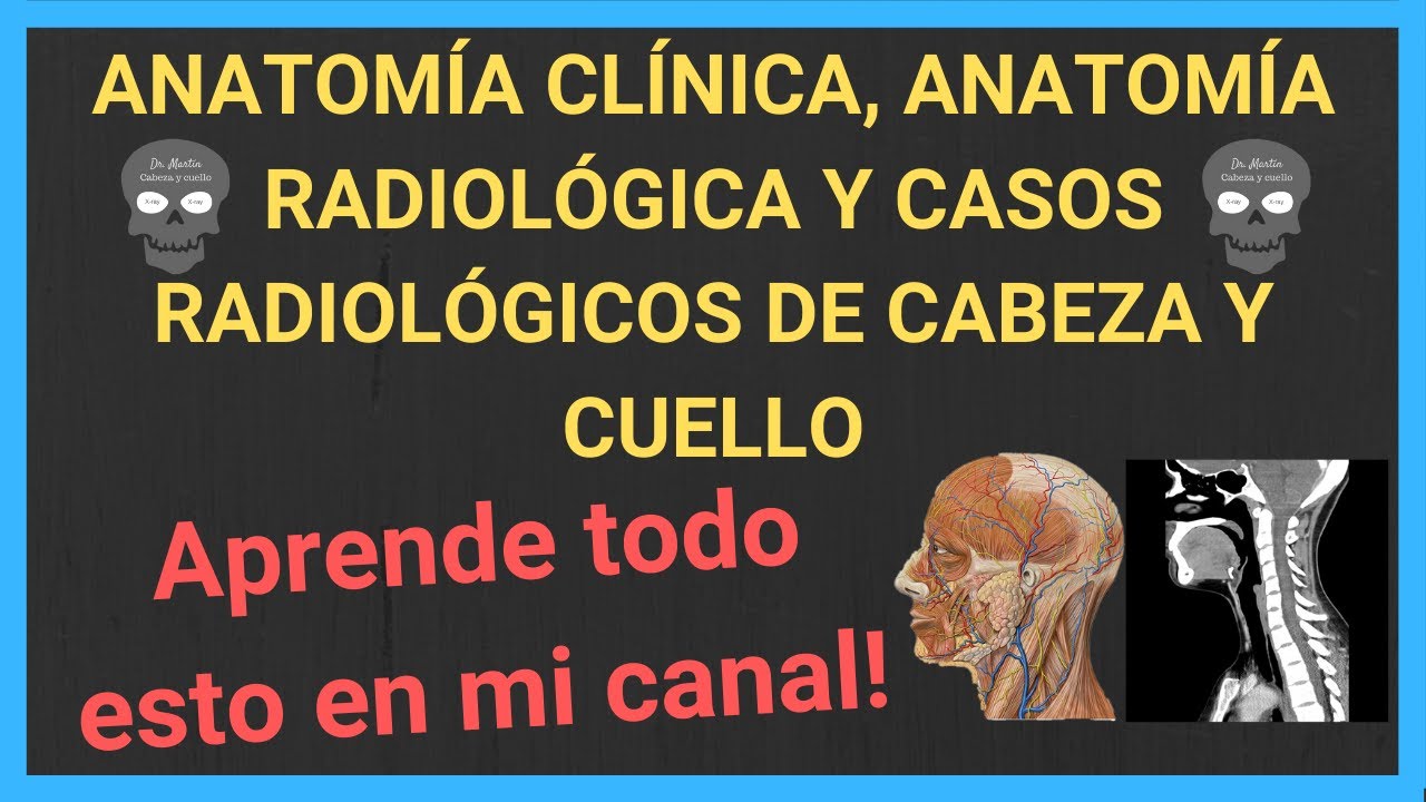 Dr. Martin: cabeza y cuello (trailer) - YouTube