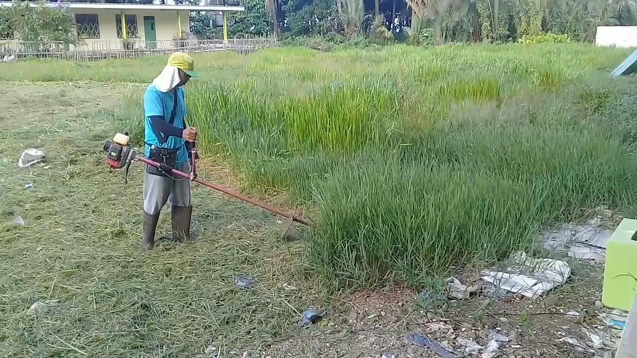 Cleaning of School Compound - YouTube