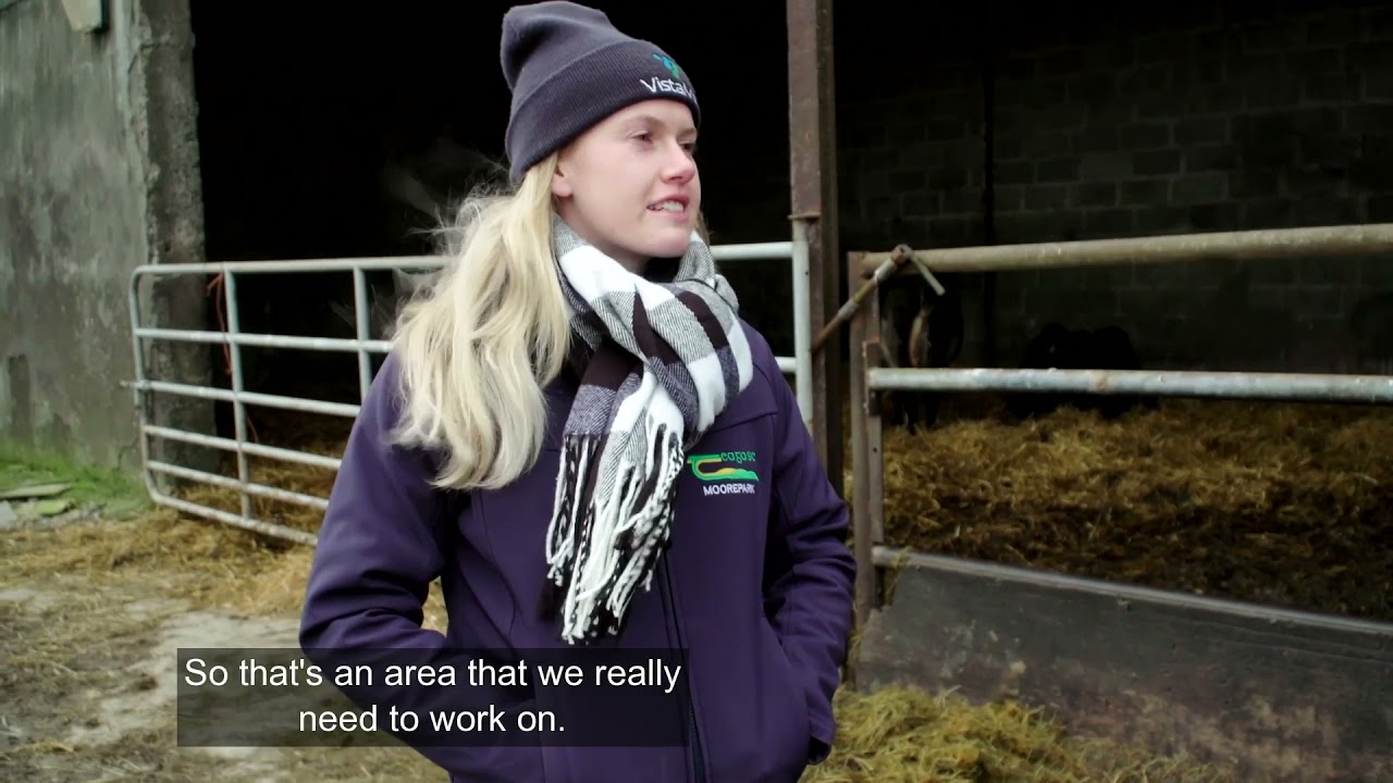 Farm Zero C: working towards the world's first carbon neutral dairy ...