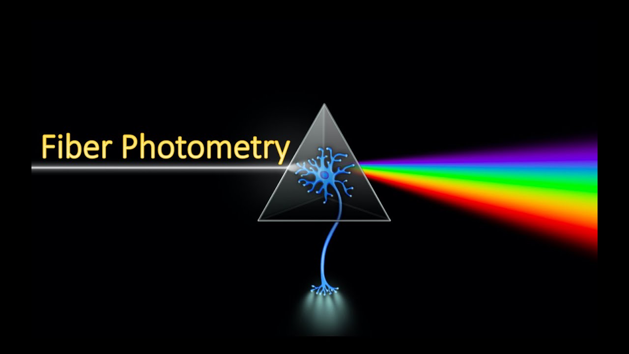 Fiber Photometry - YouTube